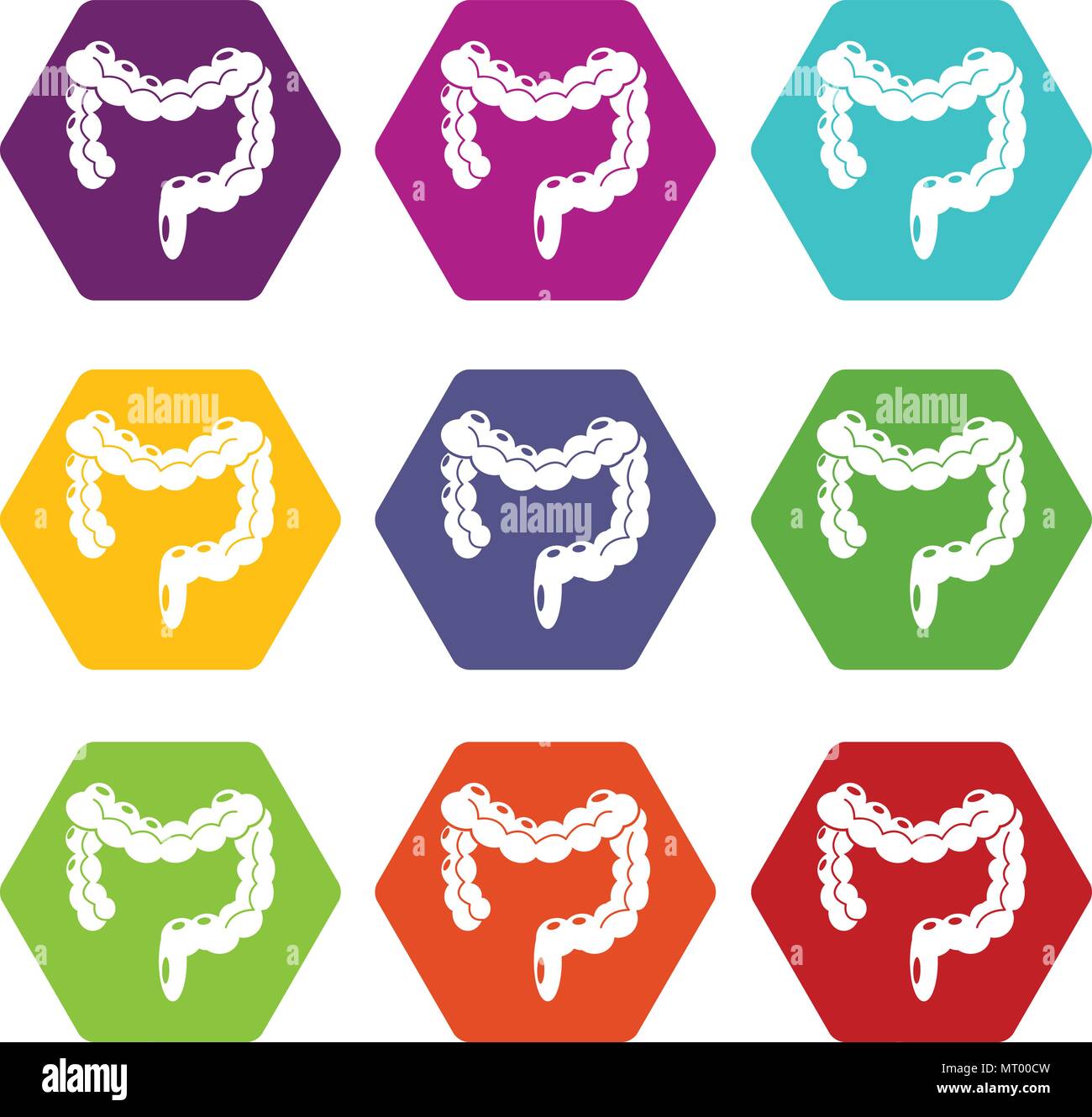 Human large intestine icons set 9 vector Stock Vector Image & Art - Alamy