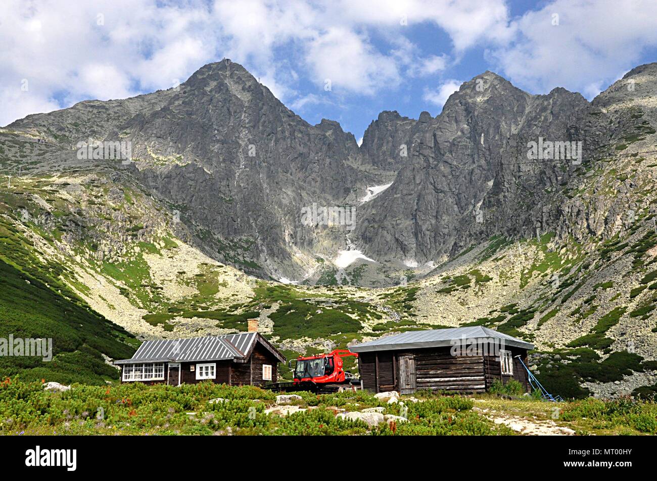 High tatras mountains fauna hi-res stock photography and images - Alamy