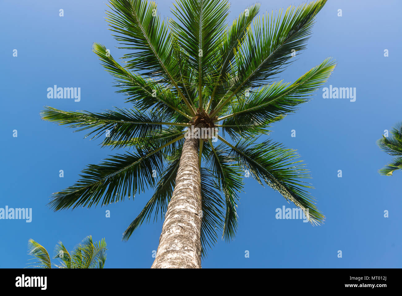 Forms with texture hi-res stock photography and images - Alamy