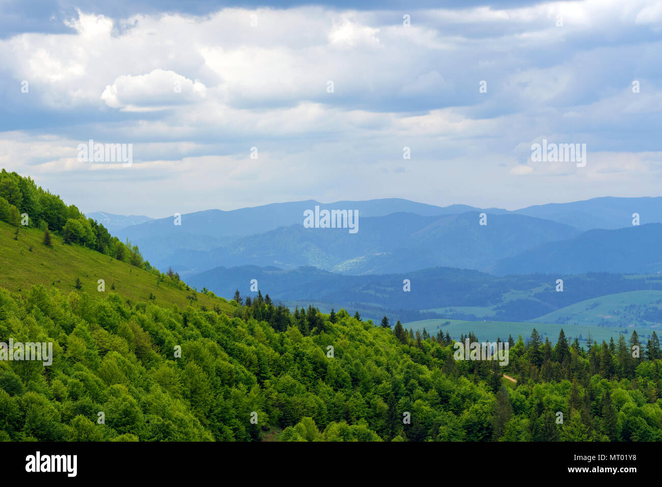 Magnificent landscape with blue mountains on the horizon Stock Photo ...