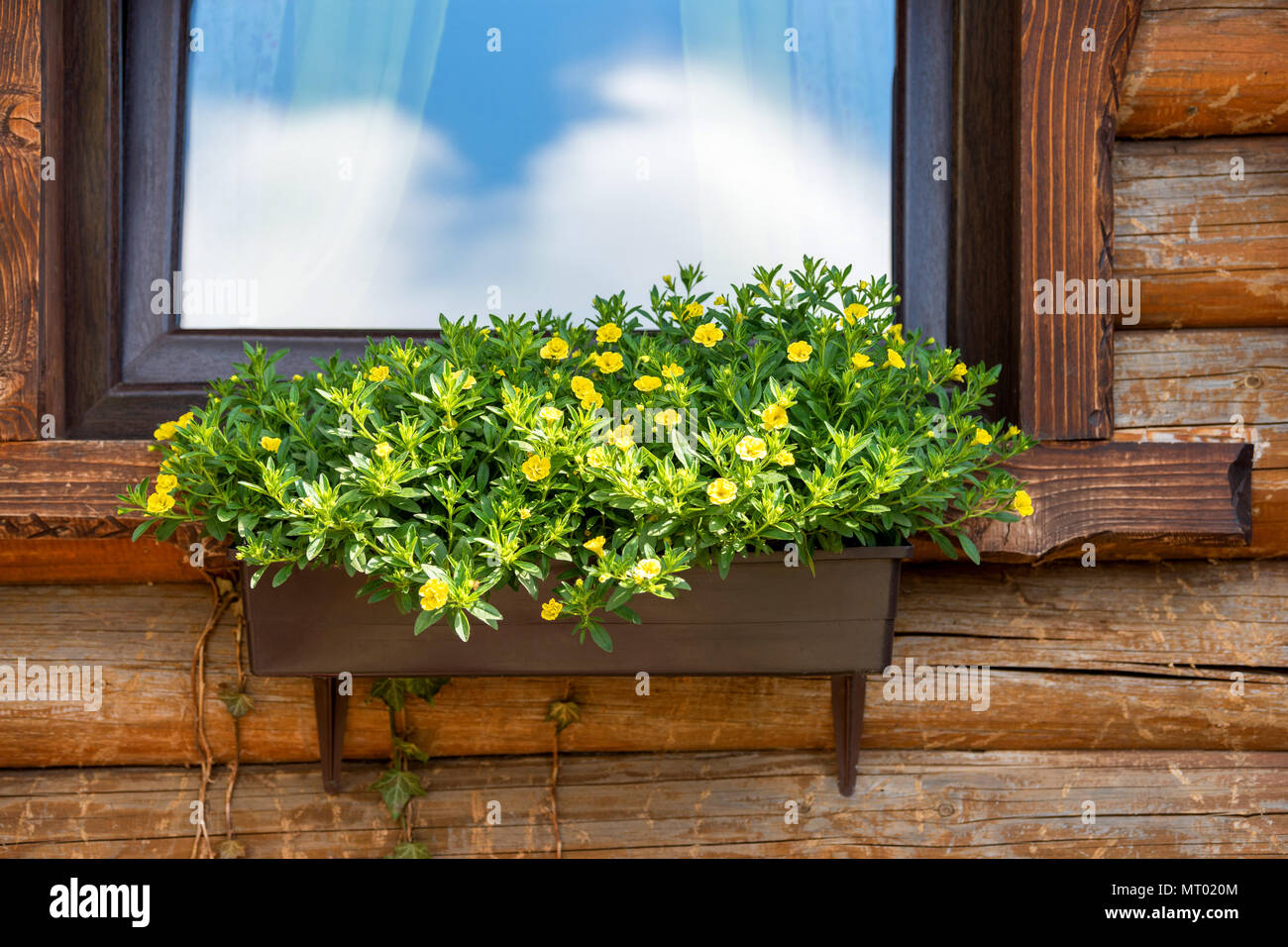 Wooden house windows with flower boxes Stock Photo - Alamy
