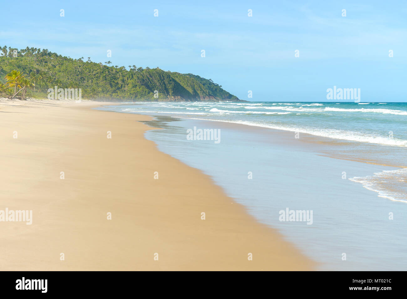 Beautiful yellow sand beach with many of palm tree Stock Photo - Alamy