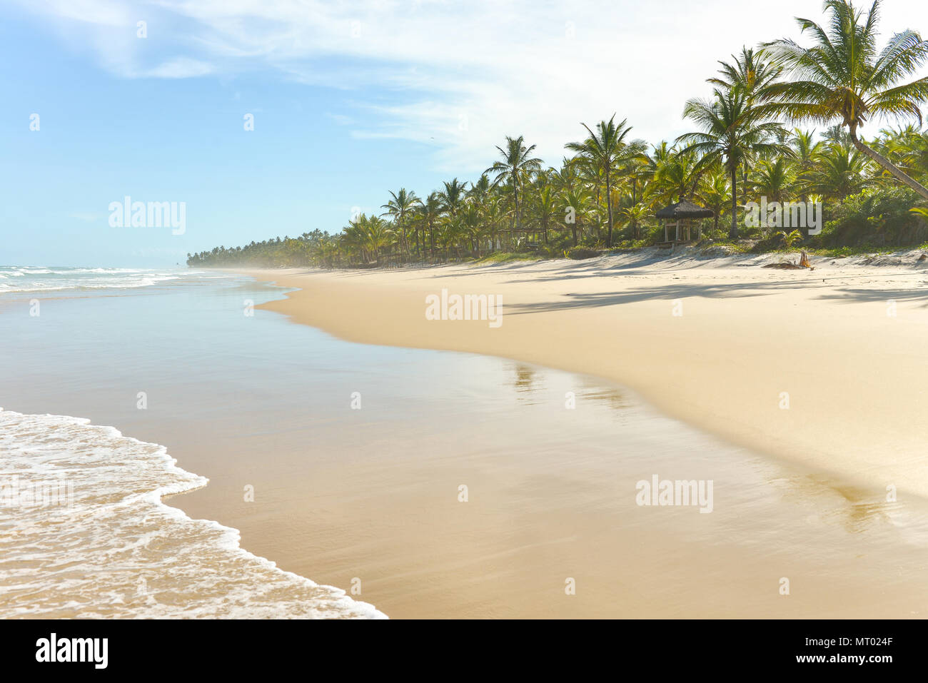 Water reflection on the waves of a large sand beach Stock Photo - Alamy
