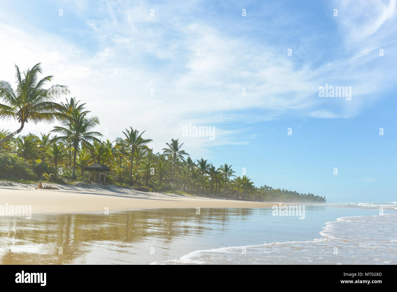 Water reflection on the waves of a large sand beach Stock Photo - Alamy