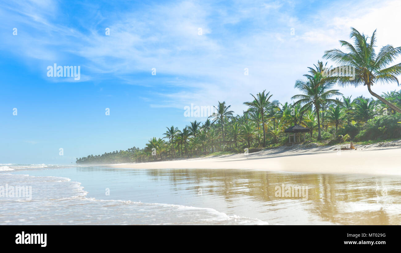 Water reflection on the waves of a large sand beach Stock Photo - Alamy