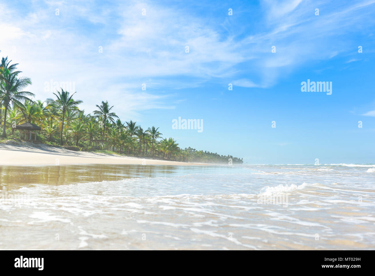 Water reflection on the waves of a large sand beach Stock Photo - Alamy