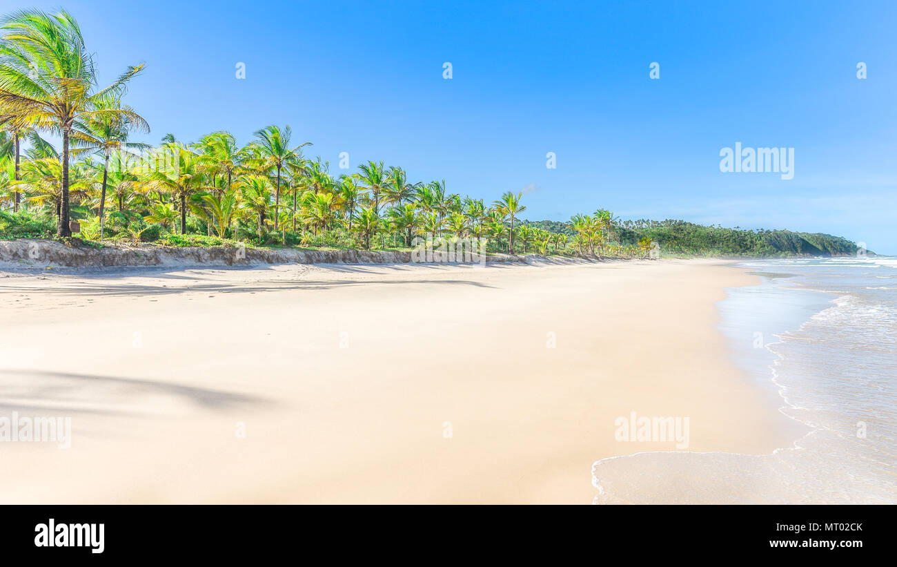 Water reflection on the waves of a large sand beach Stock Photo - Alamy