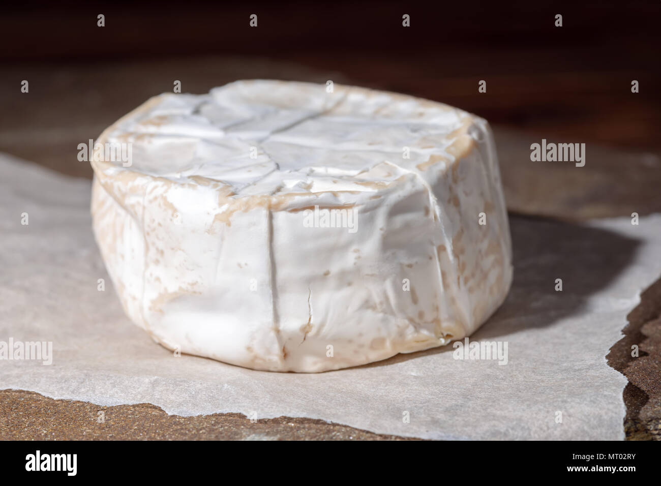 white cheese with mold on stones texture, close up, Italian, French ...