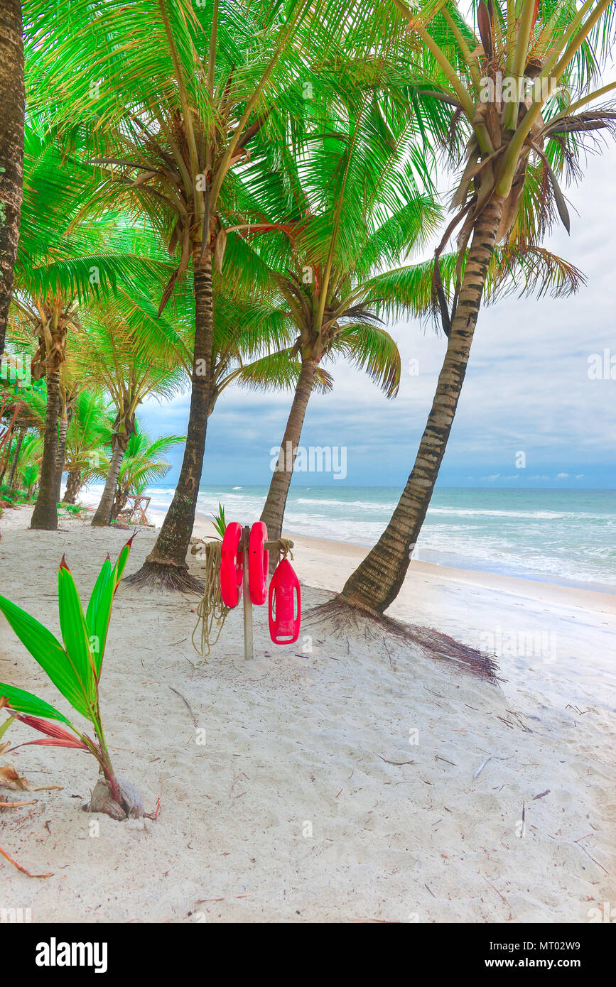 Red color Life buoy on the beach with bright sand and blue sky on the ...