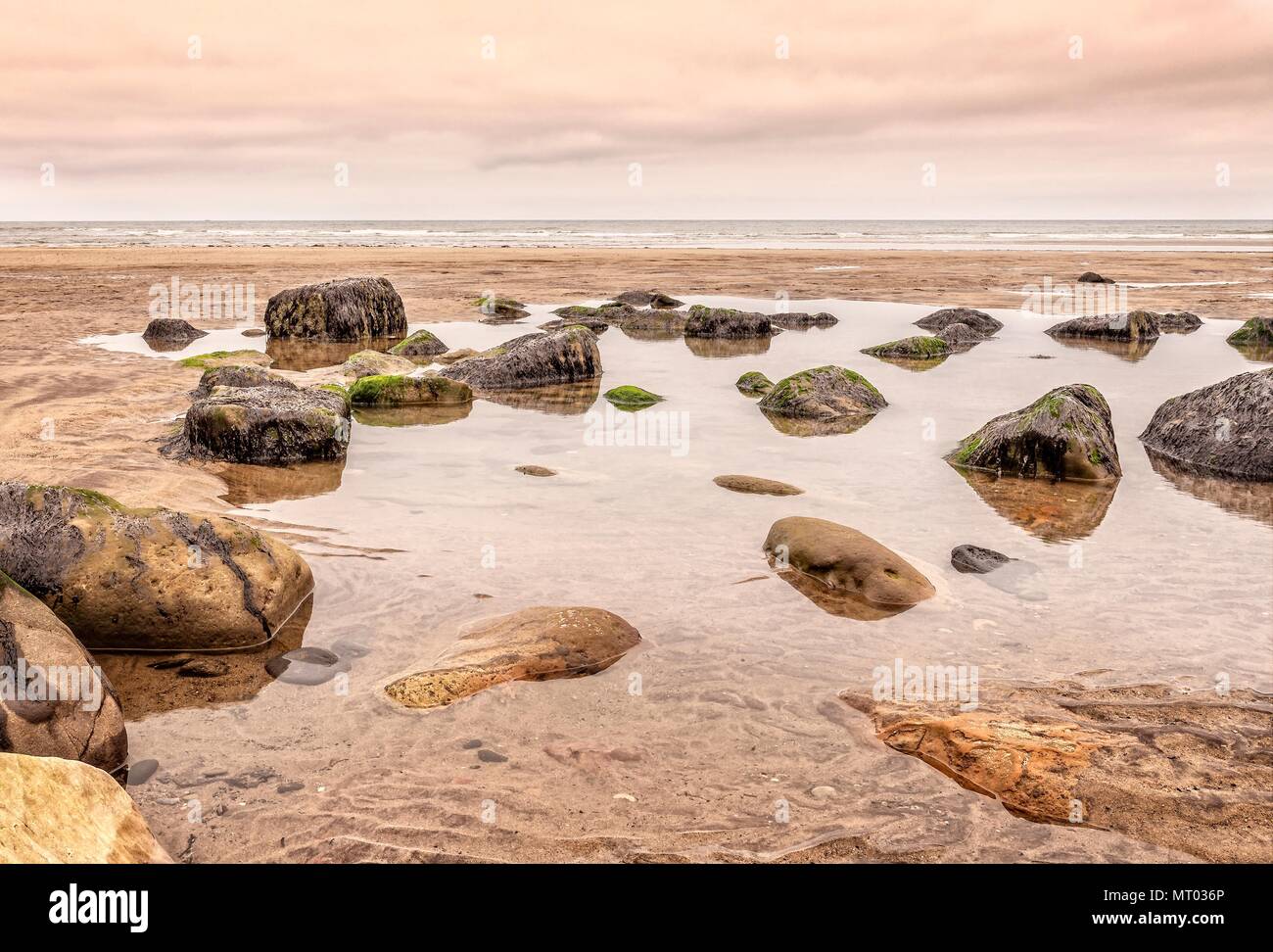 Shallow water algae north hi-res stock photography and images - Alamy