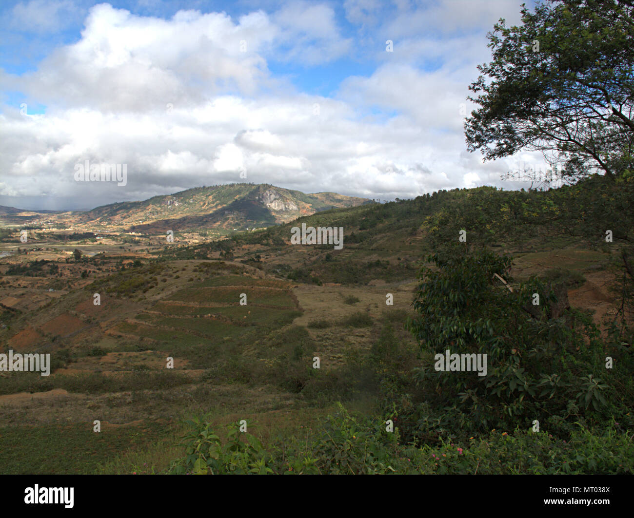 Rice fields near Antoetra, Madagascar, Africa Stock Photo - Alamy
