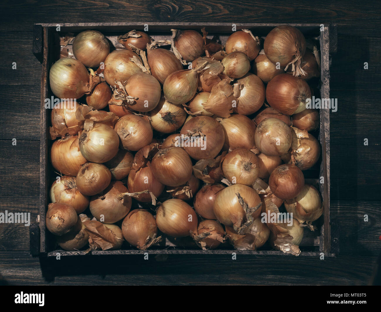 Light bulb box hi-res stock photography and images - Alamy