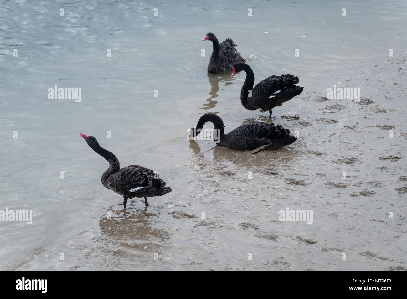 Water float slide hi-res stock photography and images - Alamy