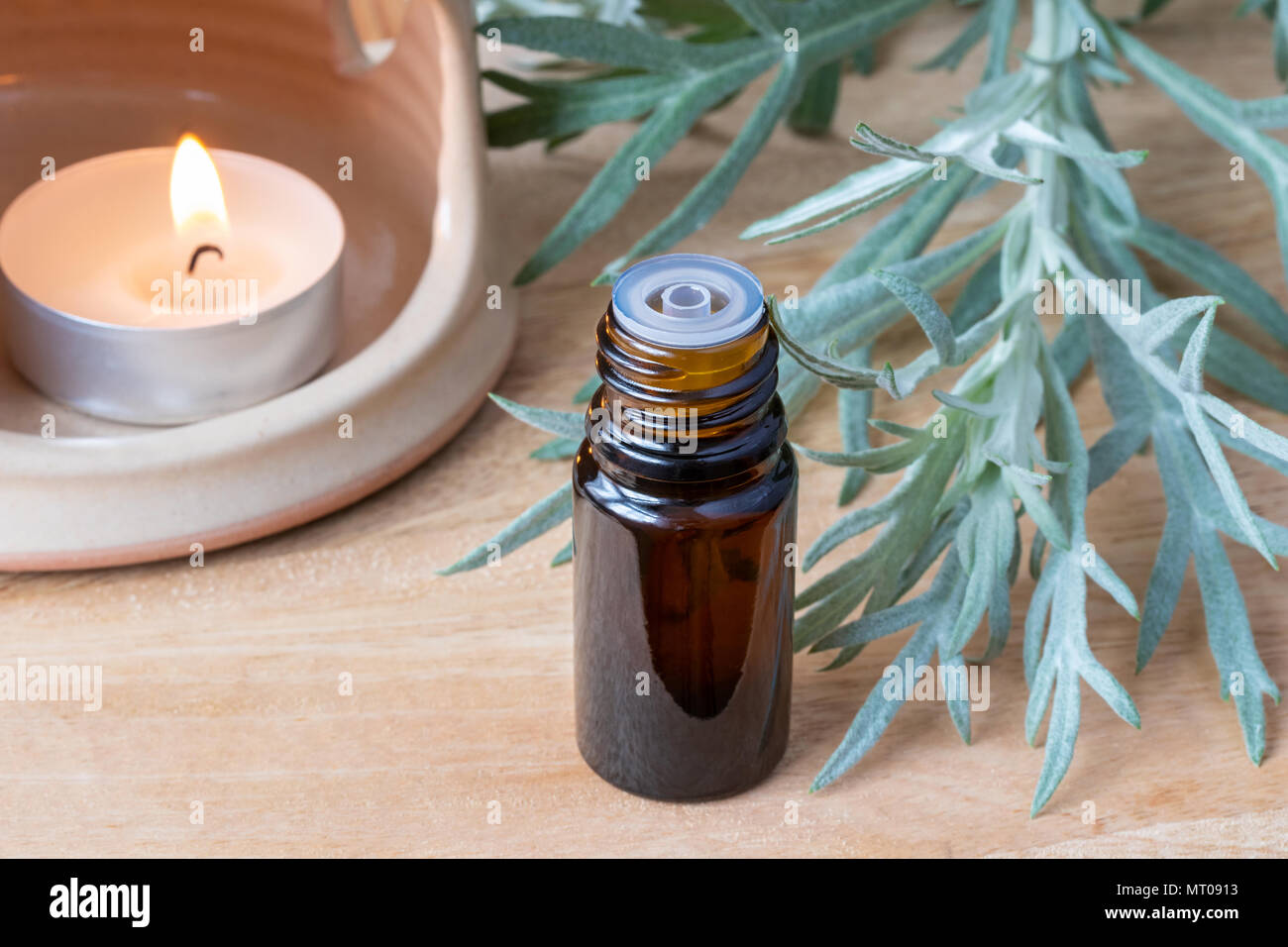 A bottle of wormwood essential oil with fresh Artemisia Absinthium ...