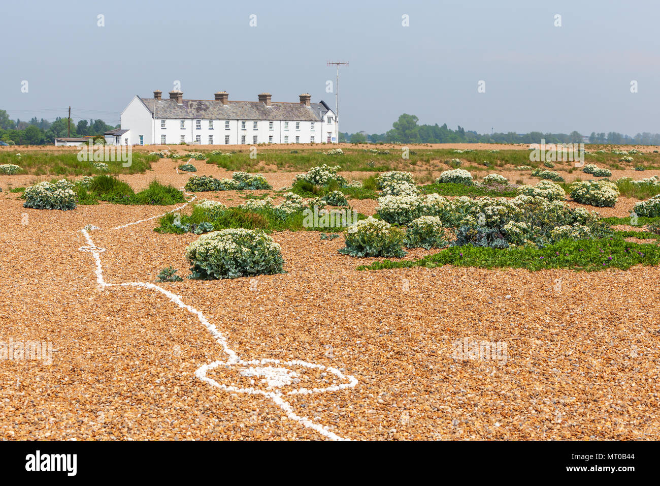 Line of shells crossing the beach at the hamlet of Shingle Street ...