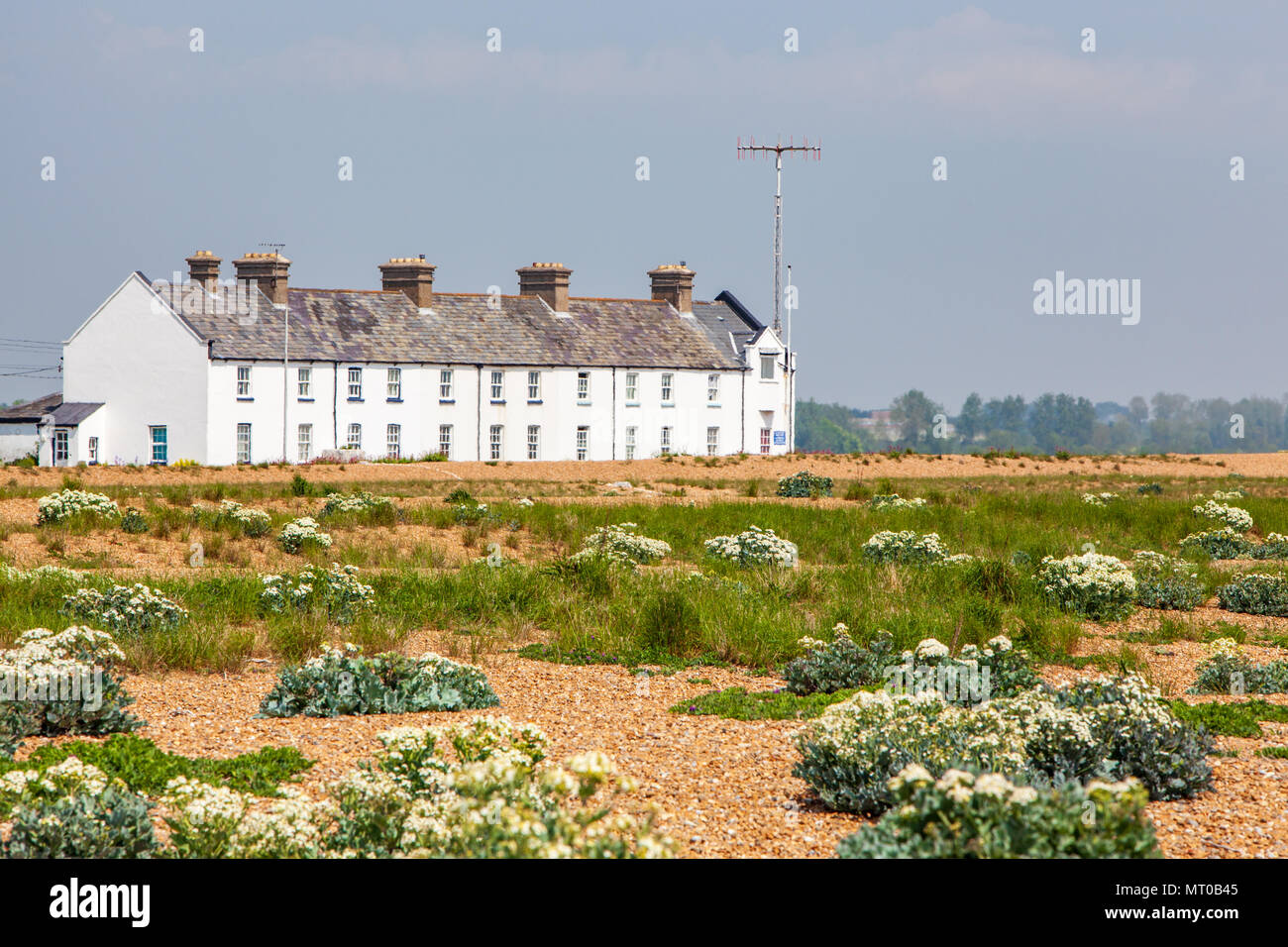 Hollesley suffolk england hi-res stock photography and images - Alamy