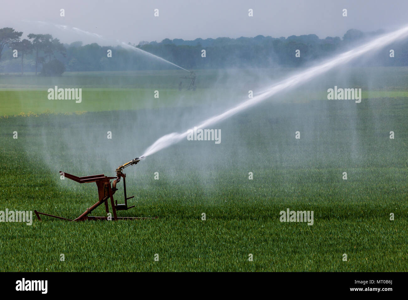 irrigation system uk agricultre Stock Photo - Alamy