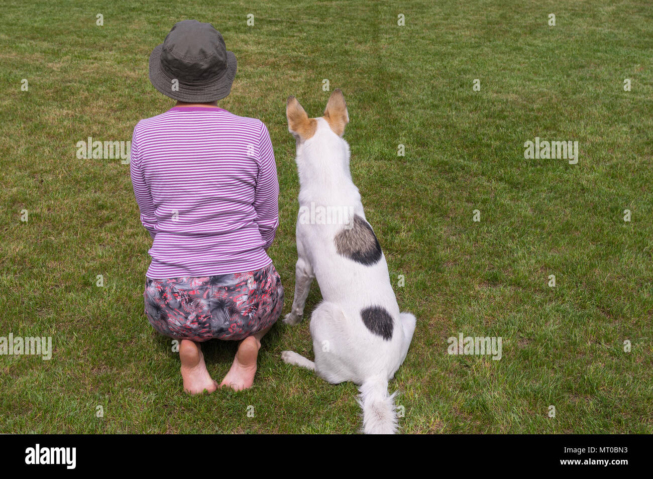 Female master shows to young dog how to perform sit command Stock Photo ...