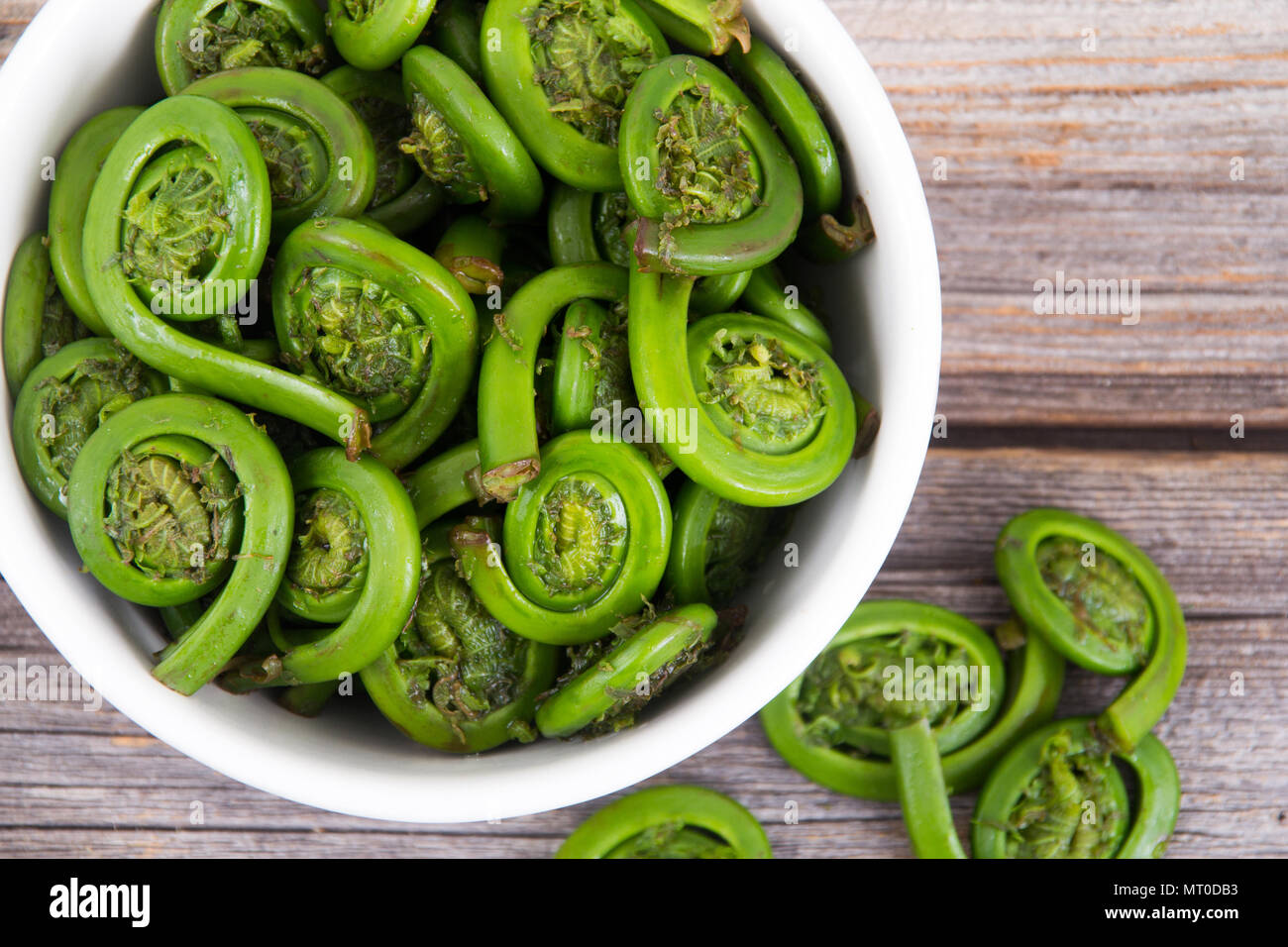 Fiddleheads hi-res stock photography and images - Alamy Fiddleheads hi-res stock photography and images - Alamy