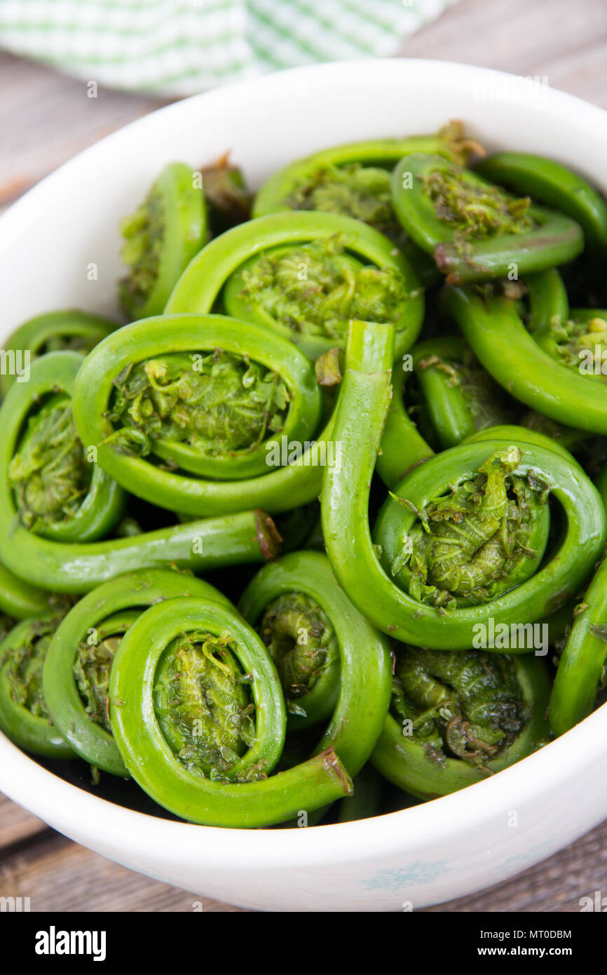 Fiddlehead and bowl hi-res stock photography and images - Alamy