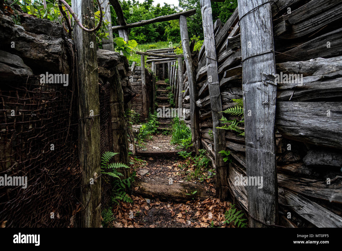 First World War Italian army fortifications and trenches between Na ...