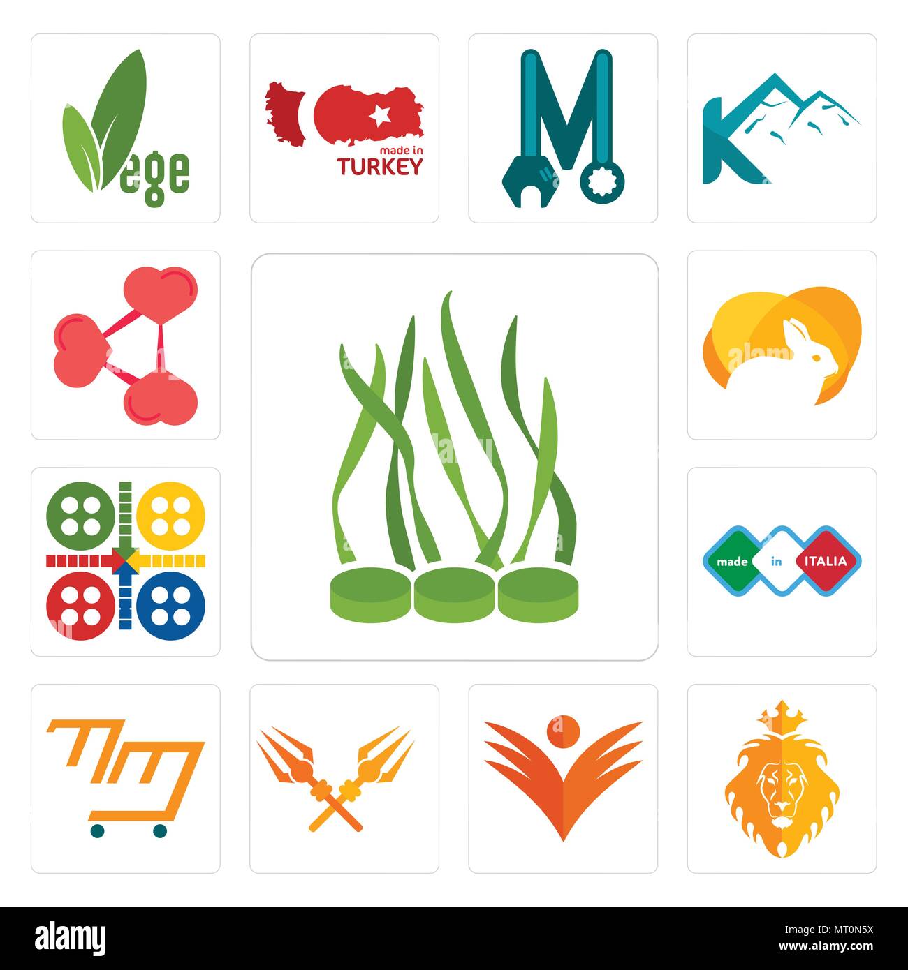 Set Of 13 simple editable icons such as spirulina, judah and the lion ...