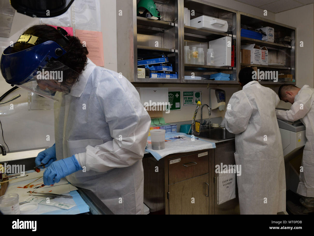 Frozen section procedure hi-res stock photography and images - Alamy