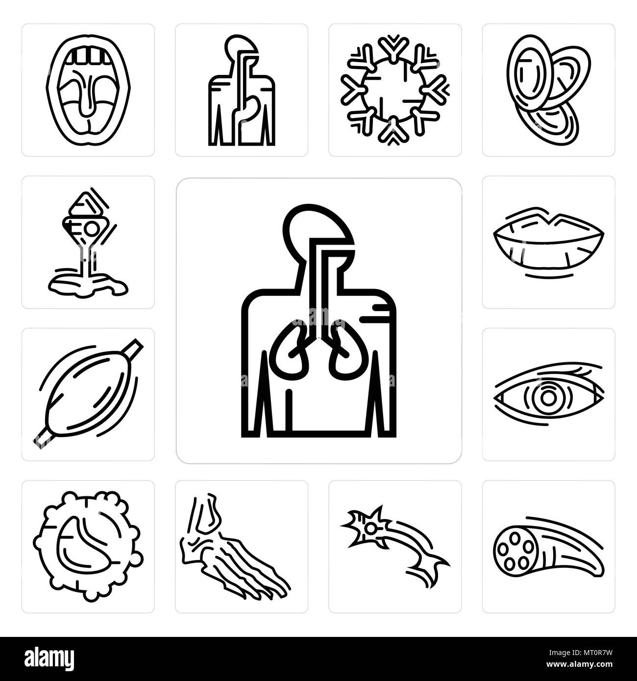 Set Of 13 simple editable icons such as Respiratory System, Muscle ...