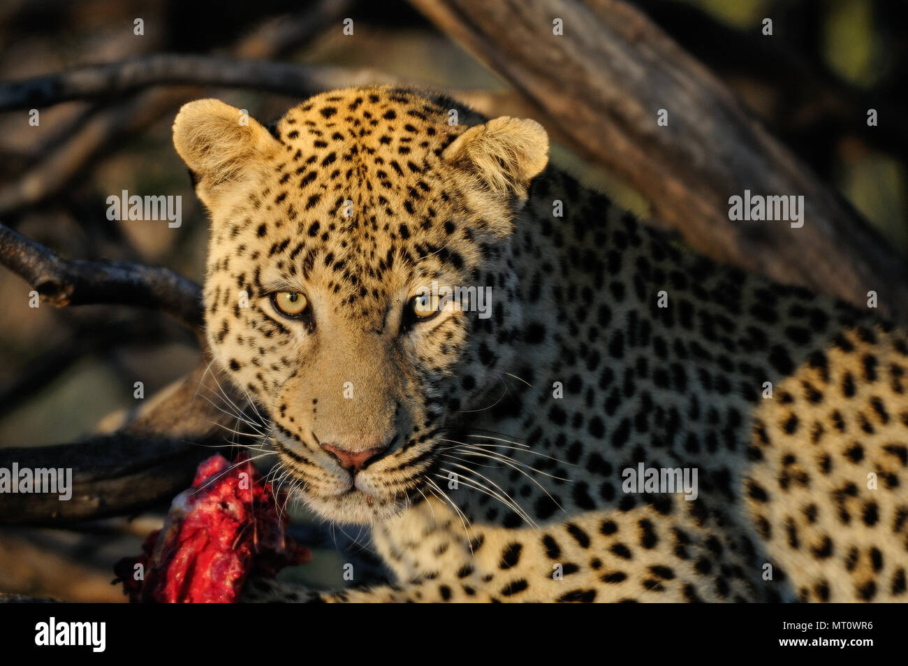 Catch points hi-res stock photography and images - Alamy