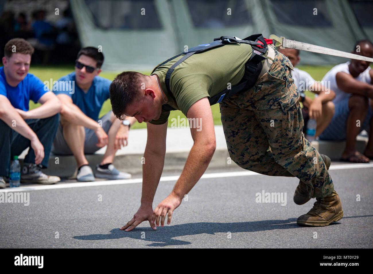 U.S. Marines with Marine Aviation Logistics Squadron (MALS) 12 pull a ...