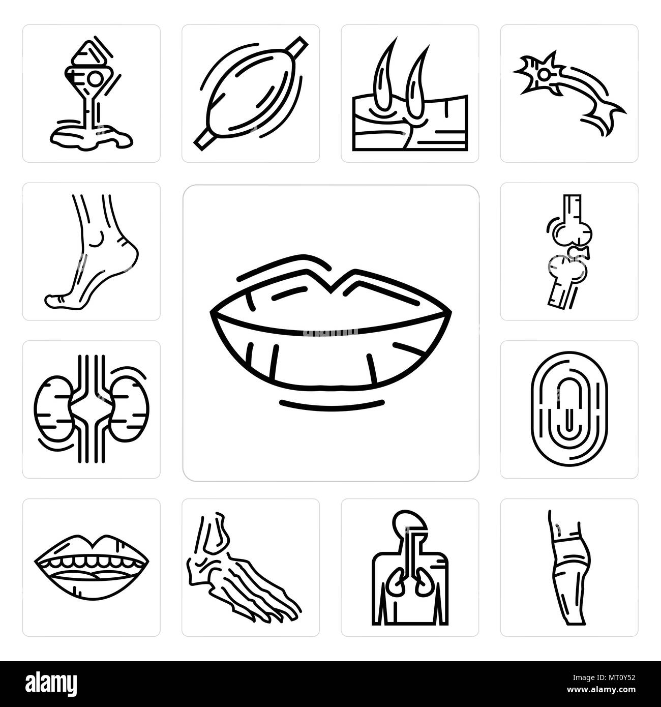 Set Of 13 simple editable icons such as Human Lips, Body Side ...