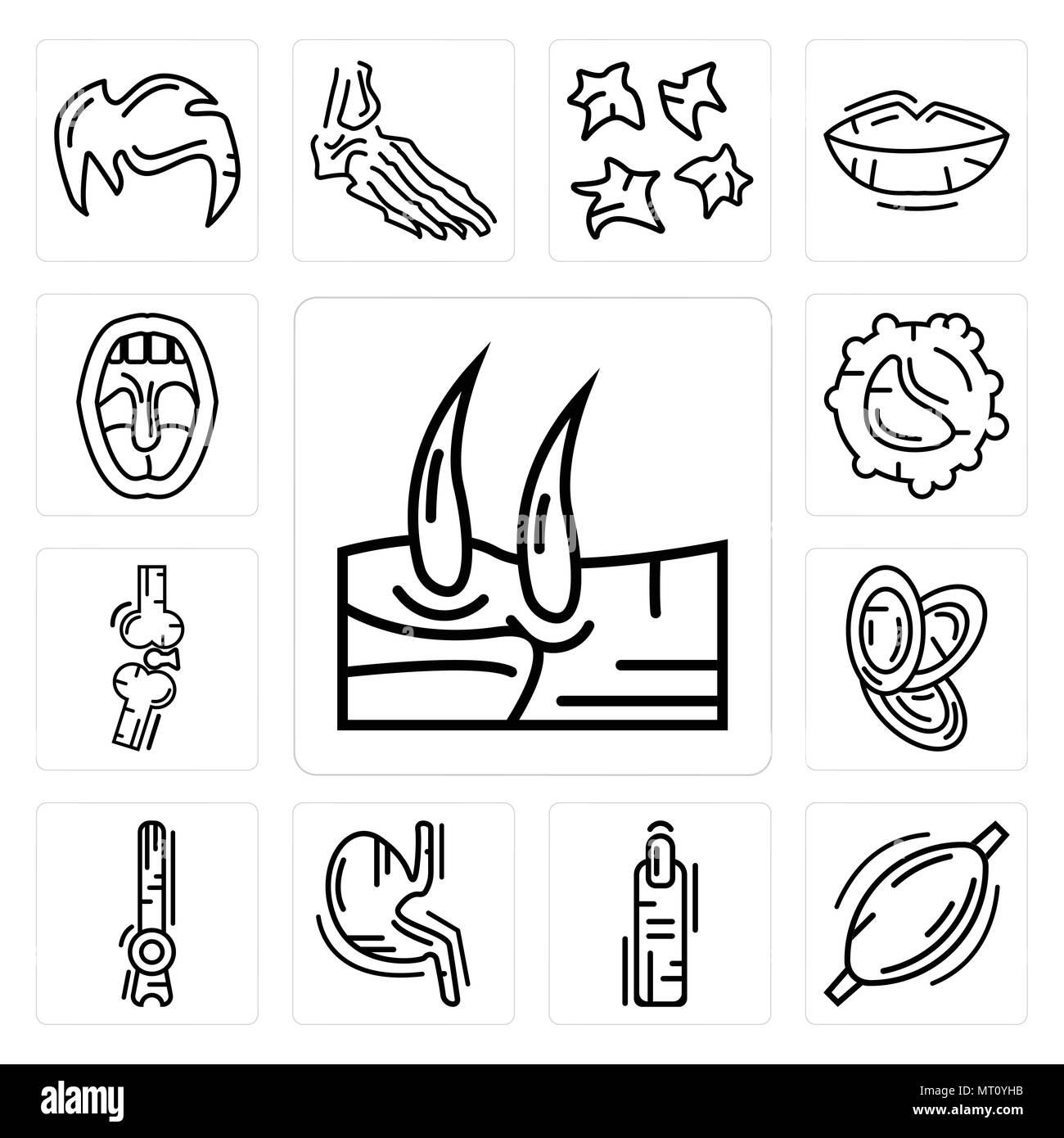 Set Of 13 simple editable icons such as Men Knee, Human Muscle, Finger ...