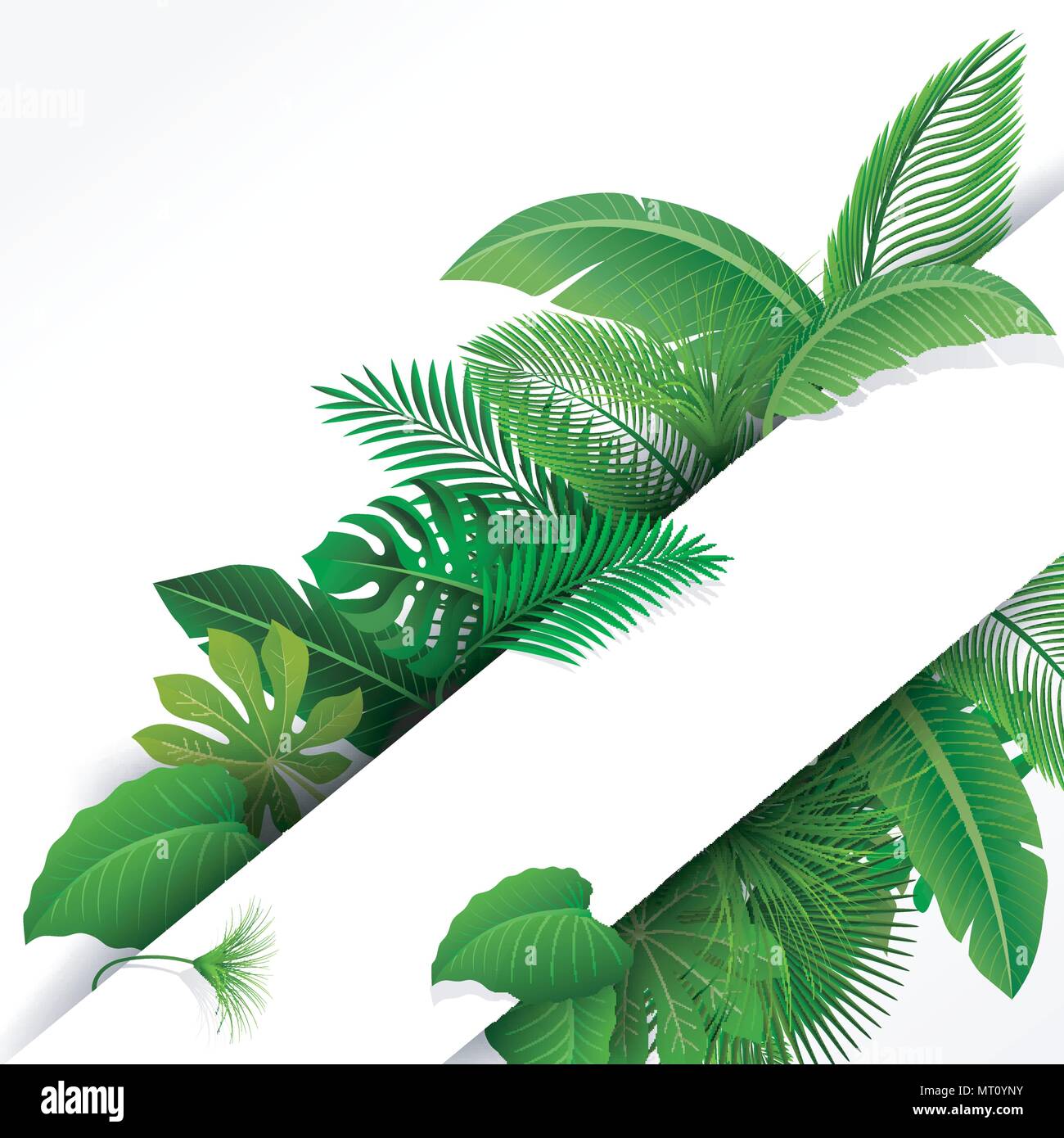 Sign with text space of Tropical Leaves. Suitable for nature concept ...