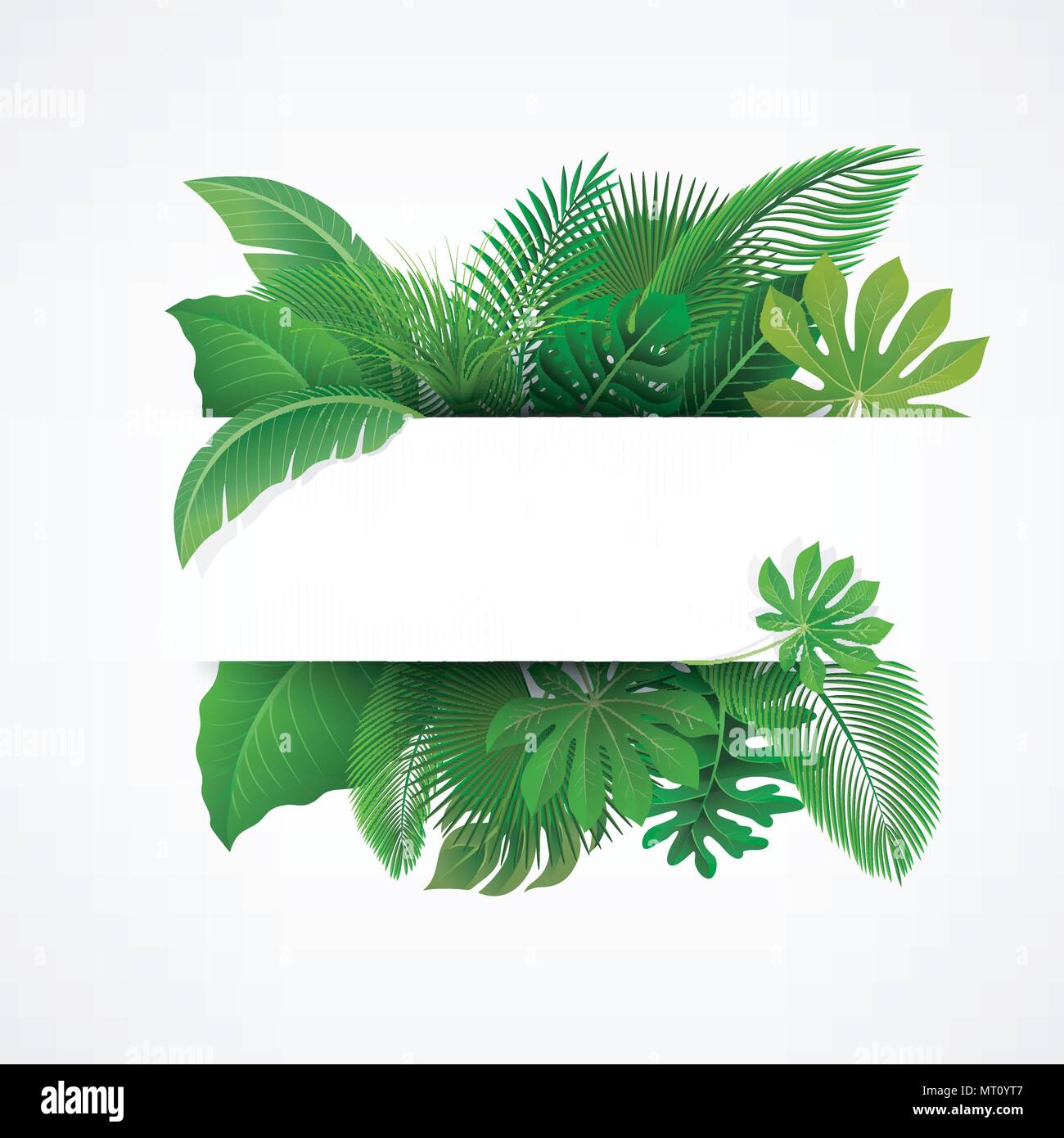 Sign with text space of Tropical Leaves. Suitable for nature concept ...