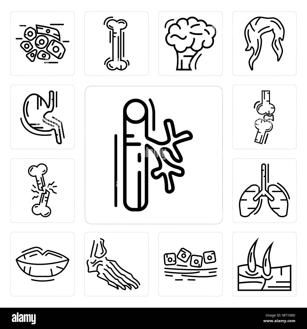 Mucous membrane vector vectors Stock Vector Images - Alamy