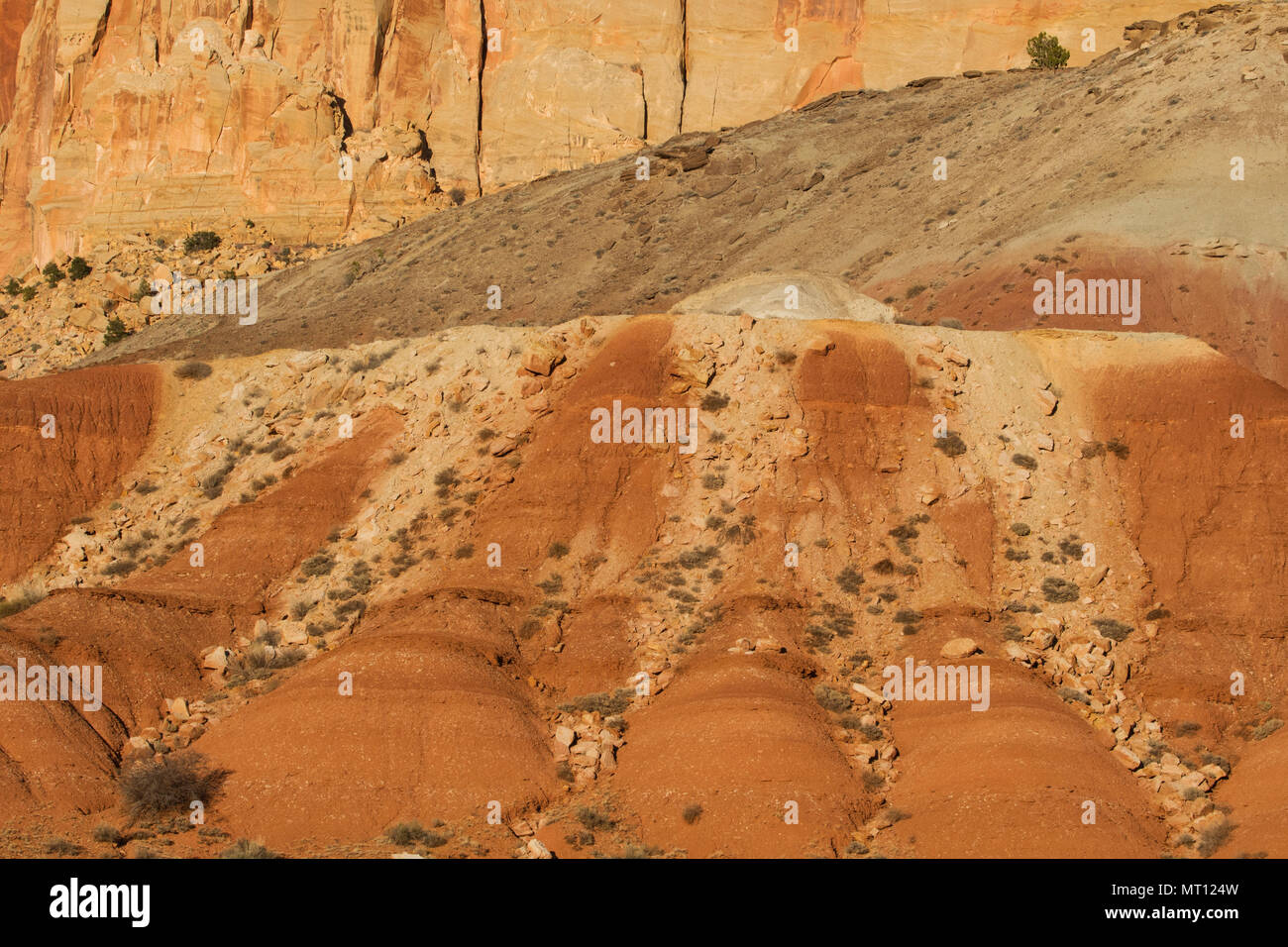 Gullies hi-res stock photography and images - Alamy