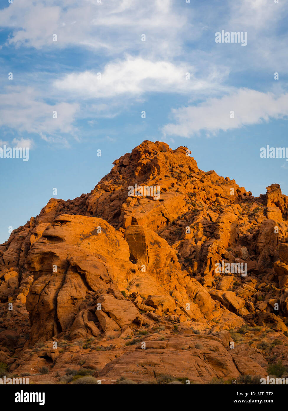 Red sandstone rock formations and desert plants at the Valley of Fire ...
