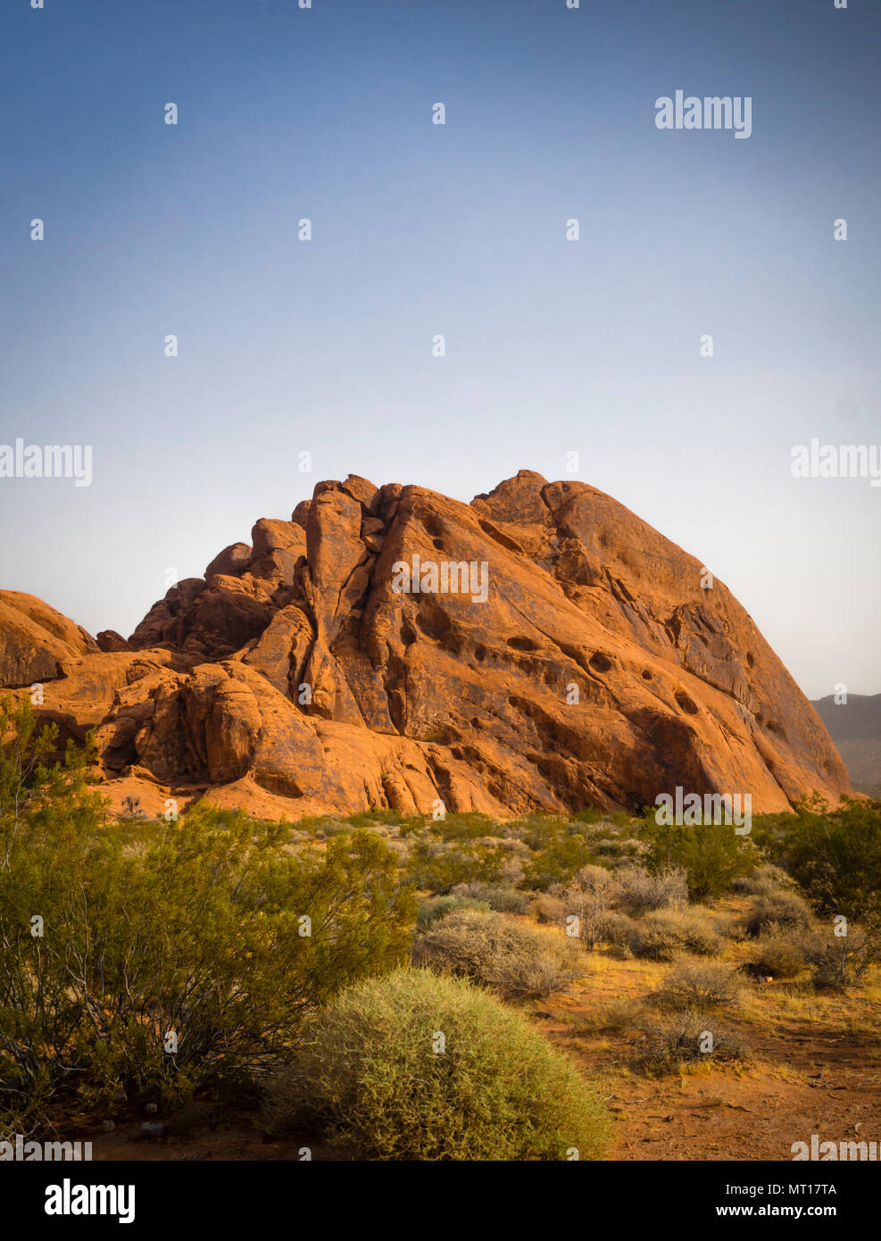 Red sandstone rock formations and desert plants at the Valley of Fire ...