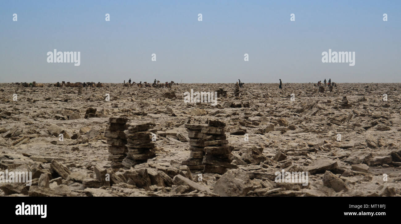 Afar region salt production hi-res stock photography and images - Alamy