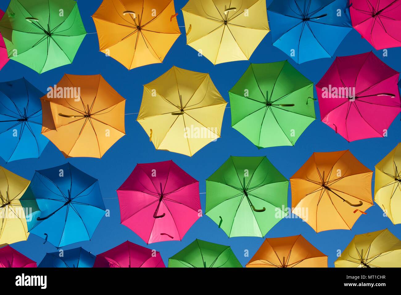 Umbrellas hang above the road in Pensacola, Florida Stock Photo - Alamy