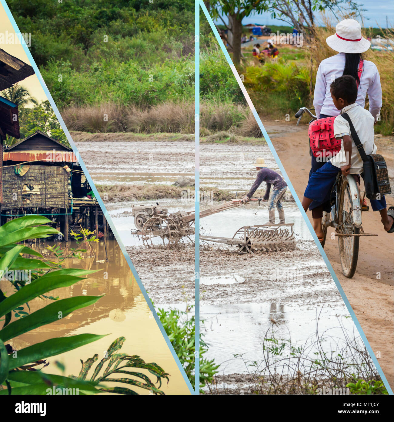 Collage of Cambodia and the stone faces. Collage of Cambodia and the ...