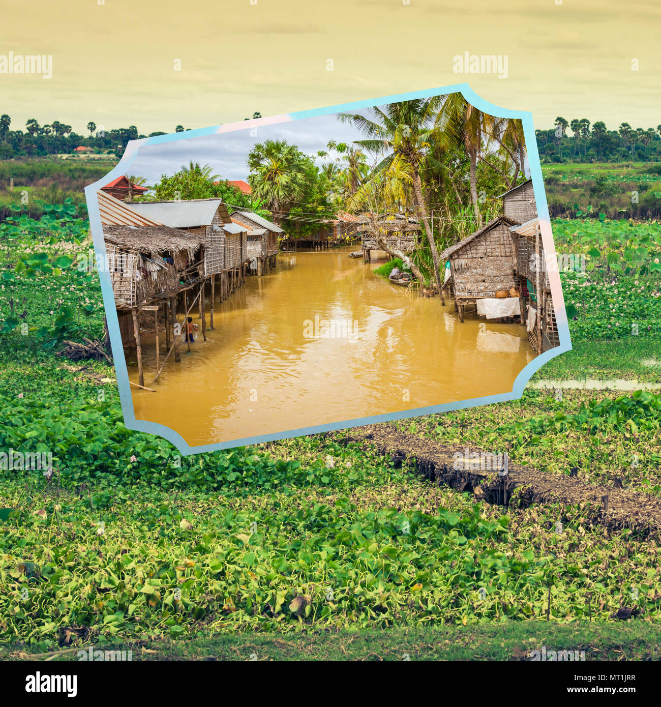 Collage of Cambodia and the stone faces. Collage of Cambodia and the ...