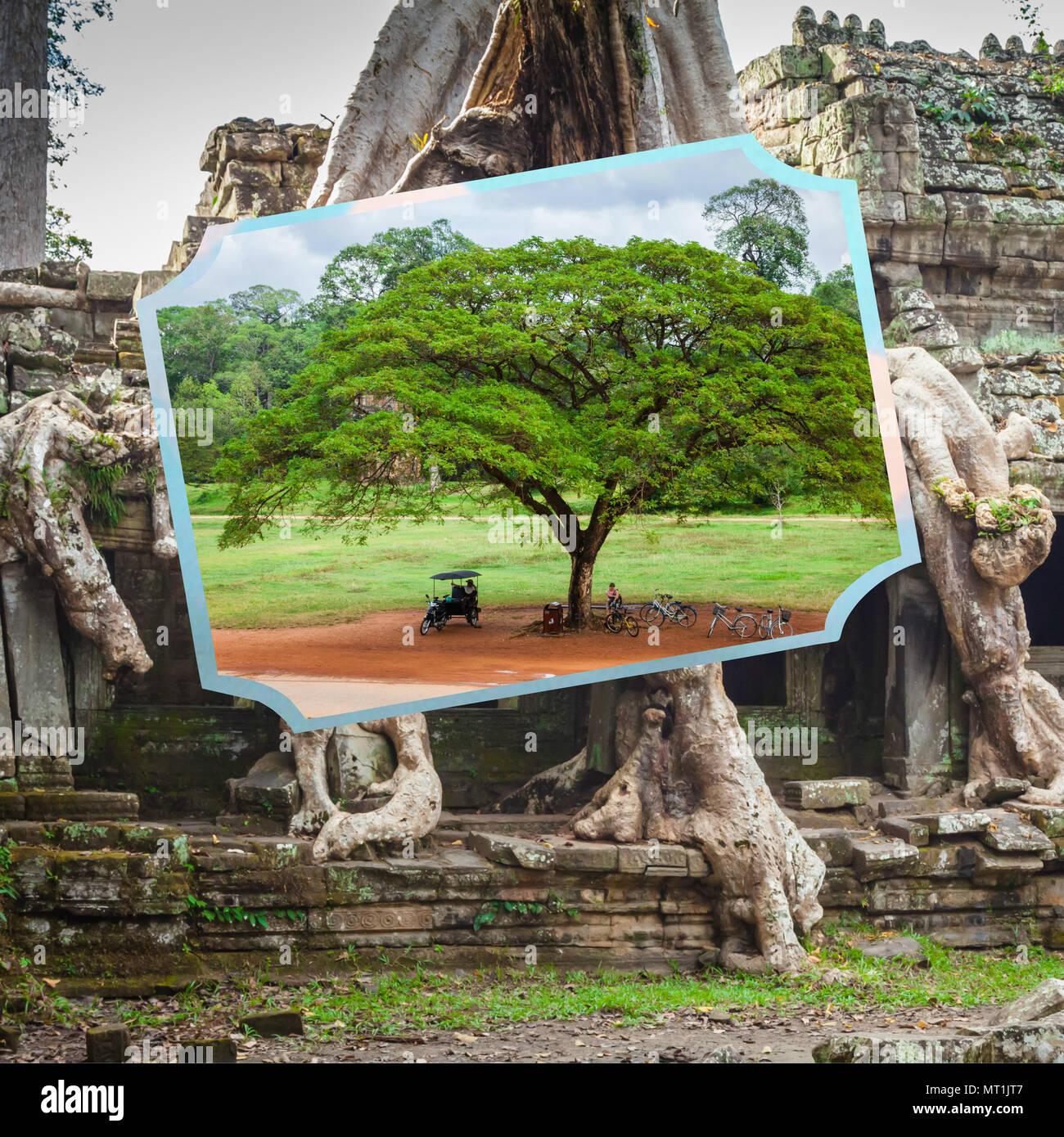Collage of Cambodia and the stone faces. Collage of Cambodia and the ...