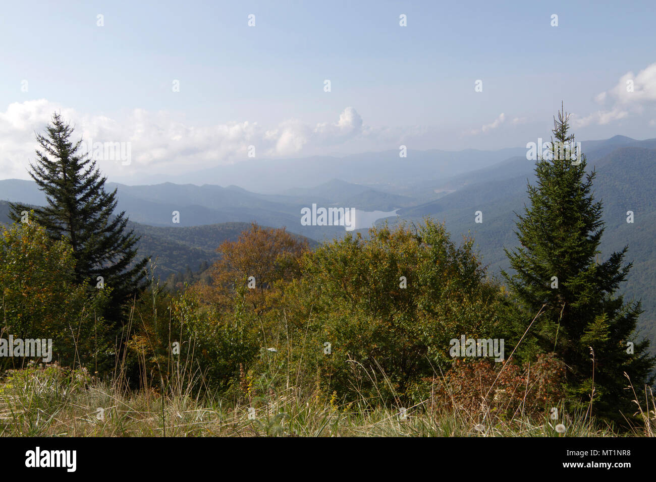 Mount Mitchell State Park Stock Photos & Mount Mitchell State Park ...