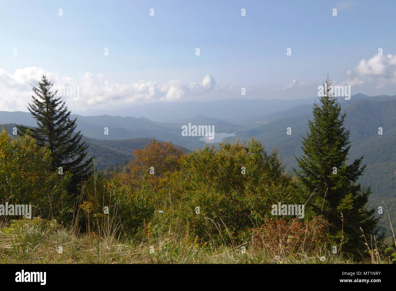 Mountain wilderness high elevation view from Mount Mitchell State Park ...