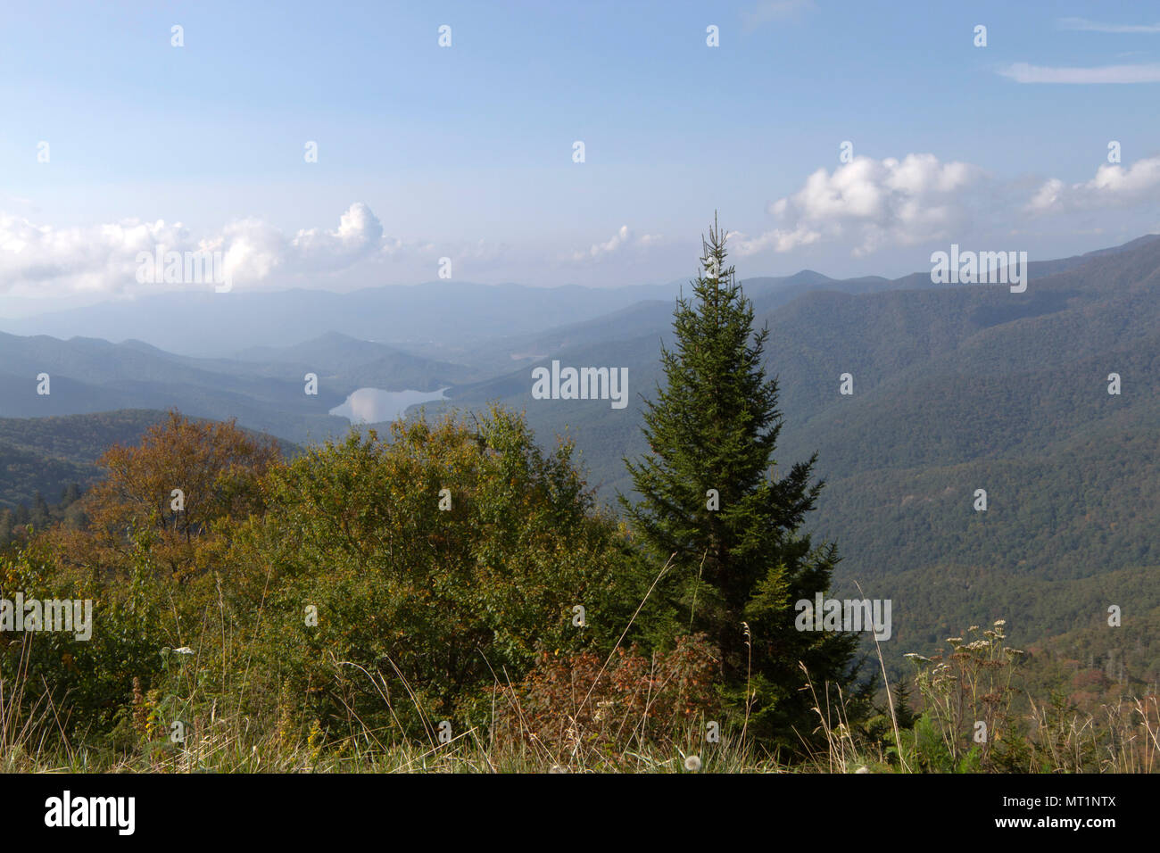 Mount mitchell in north carolina hi-res stock photography and images ...
