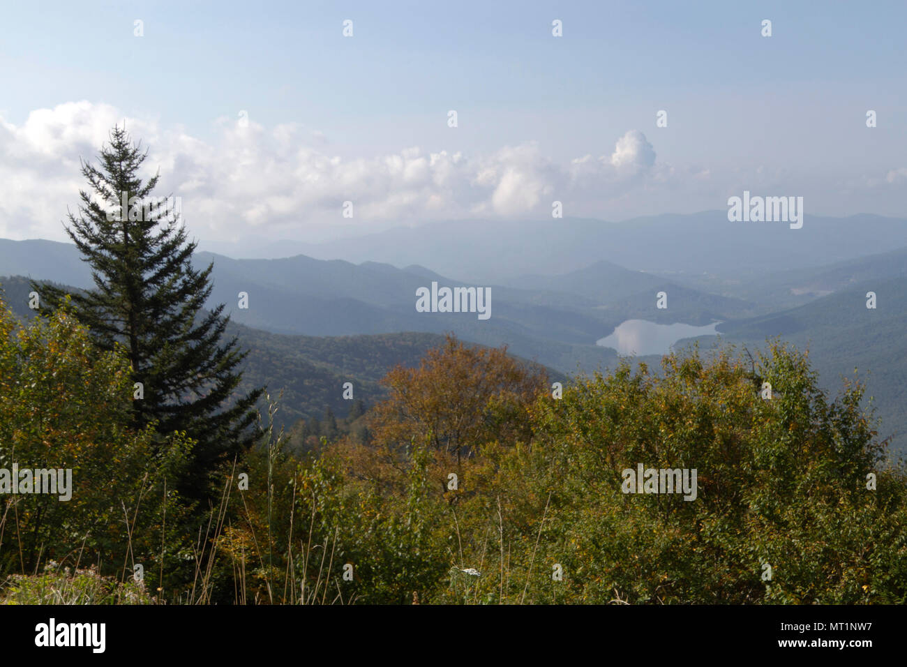 Mount mitchell state park hi-res stock photography and images - Alamy
