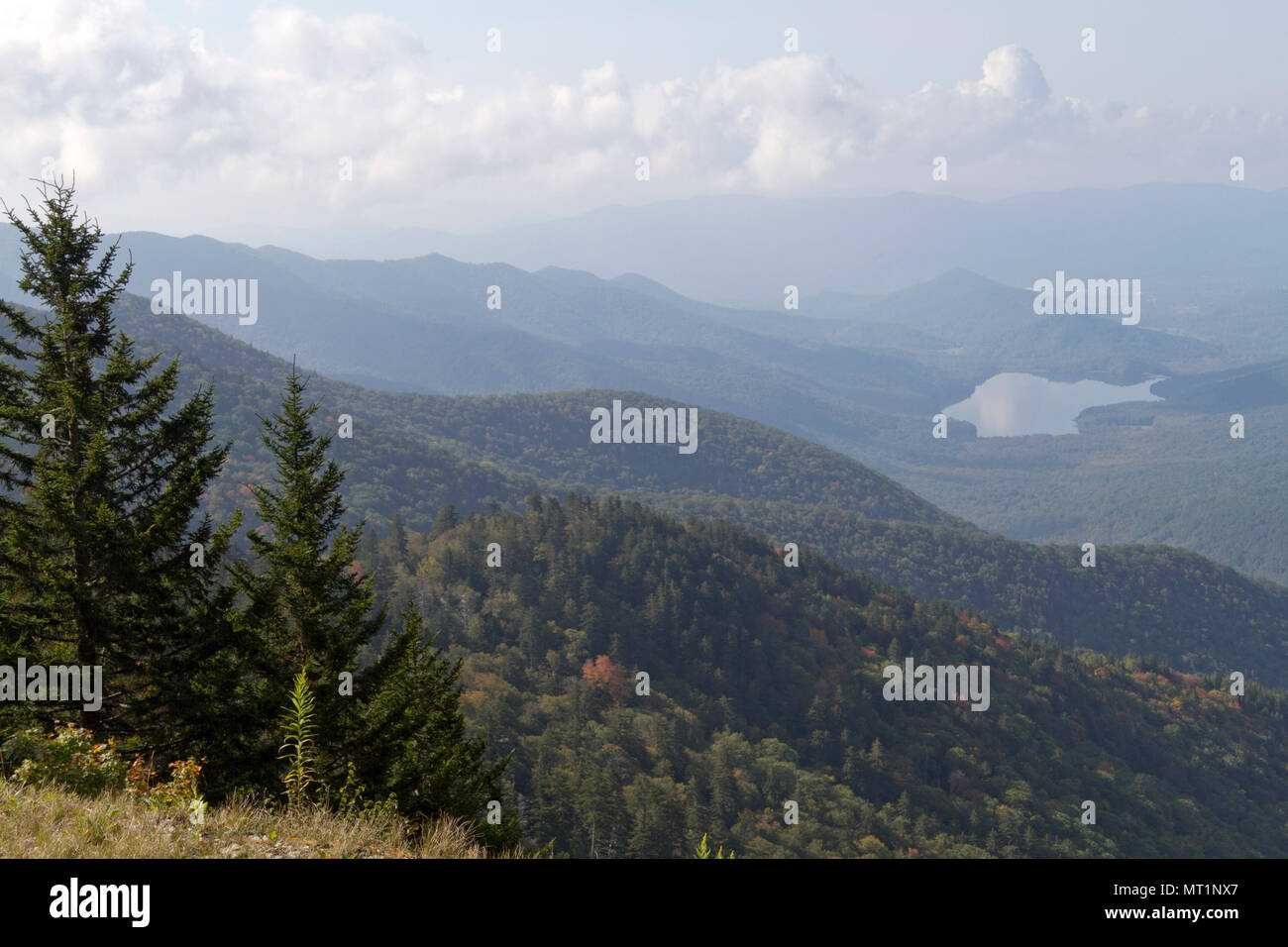 Mount mitchell in north carolina hi-res stock photography and images ...