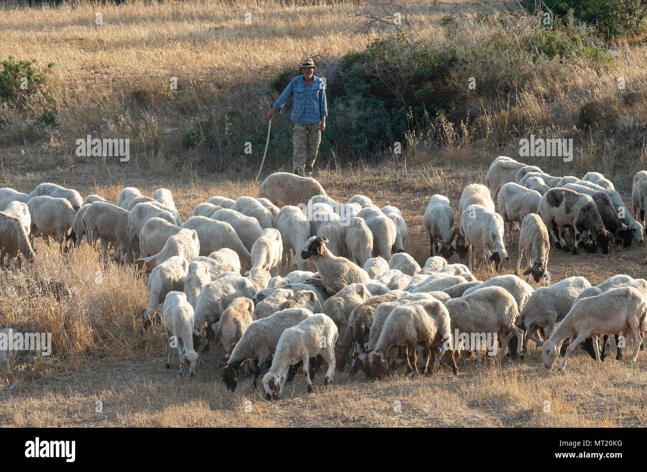 Northern european agriculture hi-res stock photography and images - Alamy