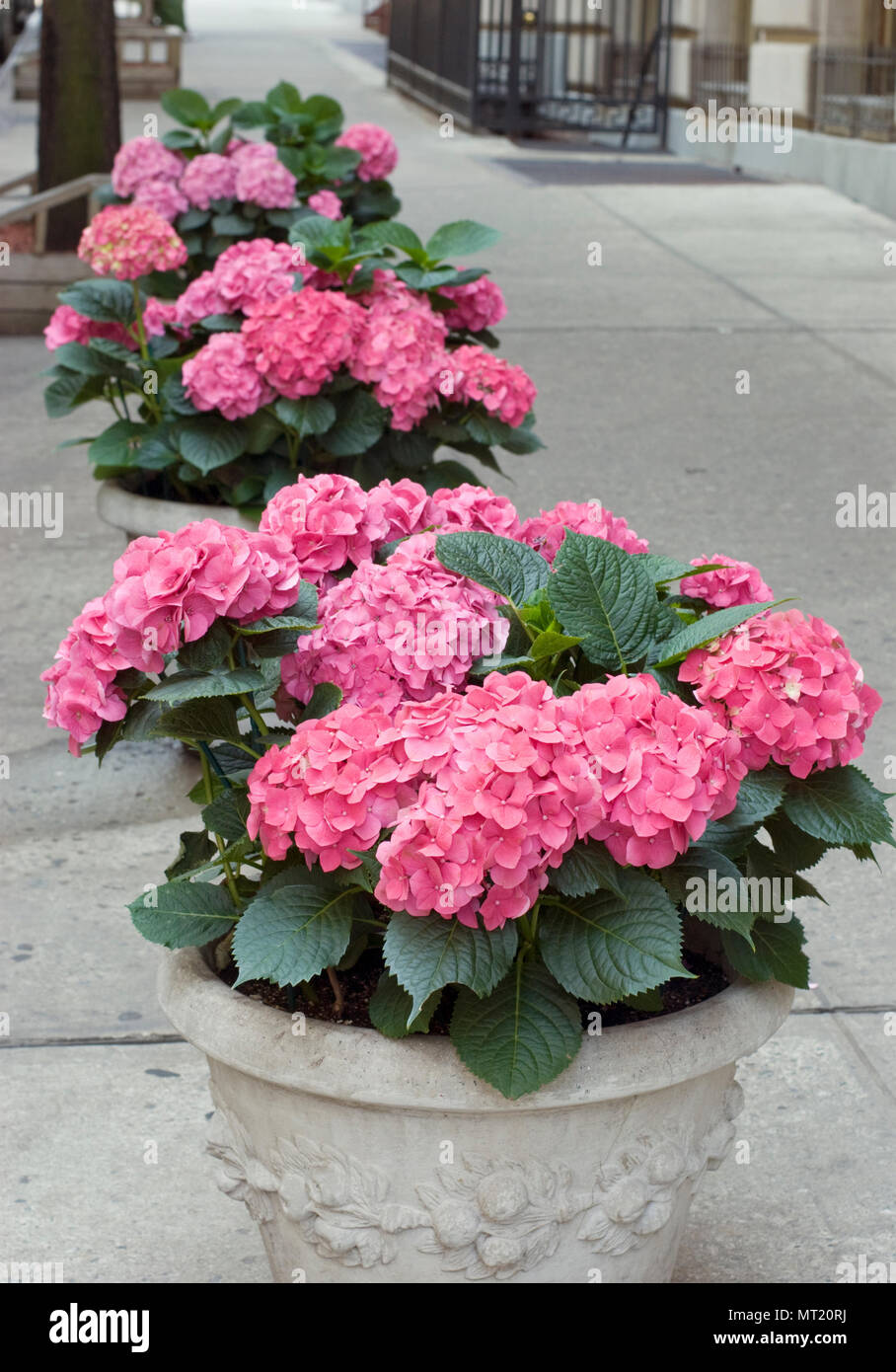 Sidewalk planters hi-res stock photography and images - Alamy
